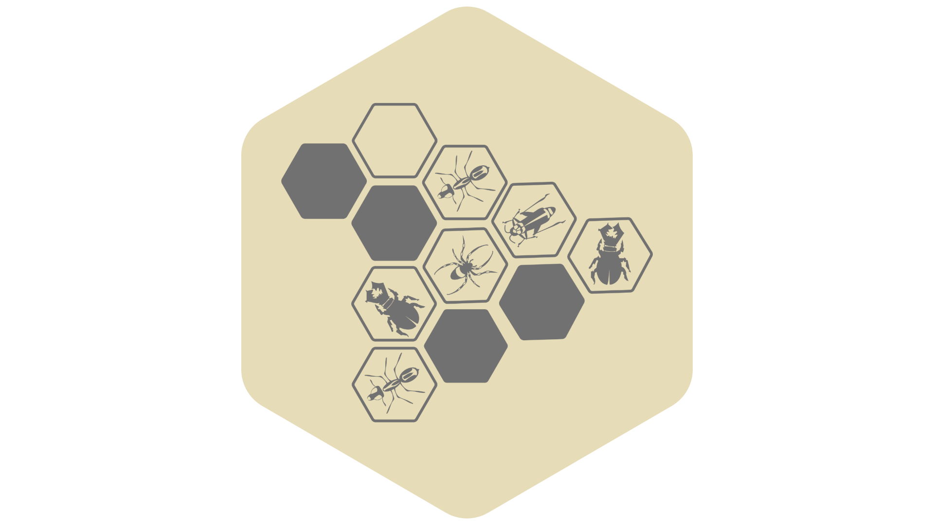 World Hive Tournaments
